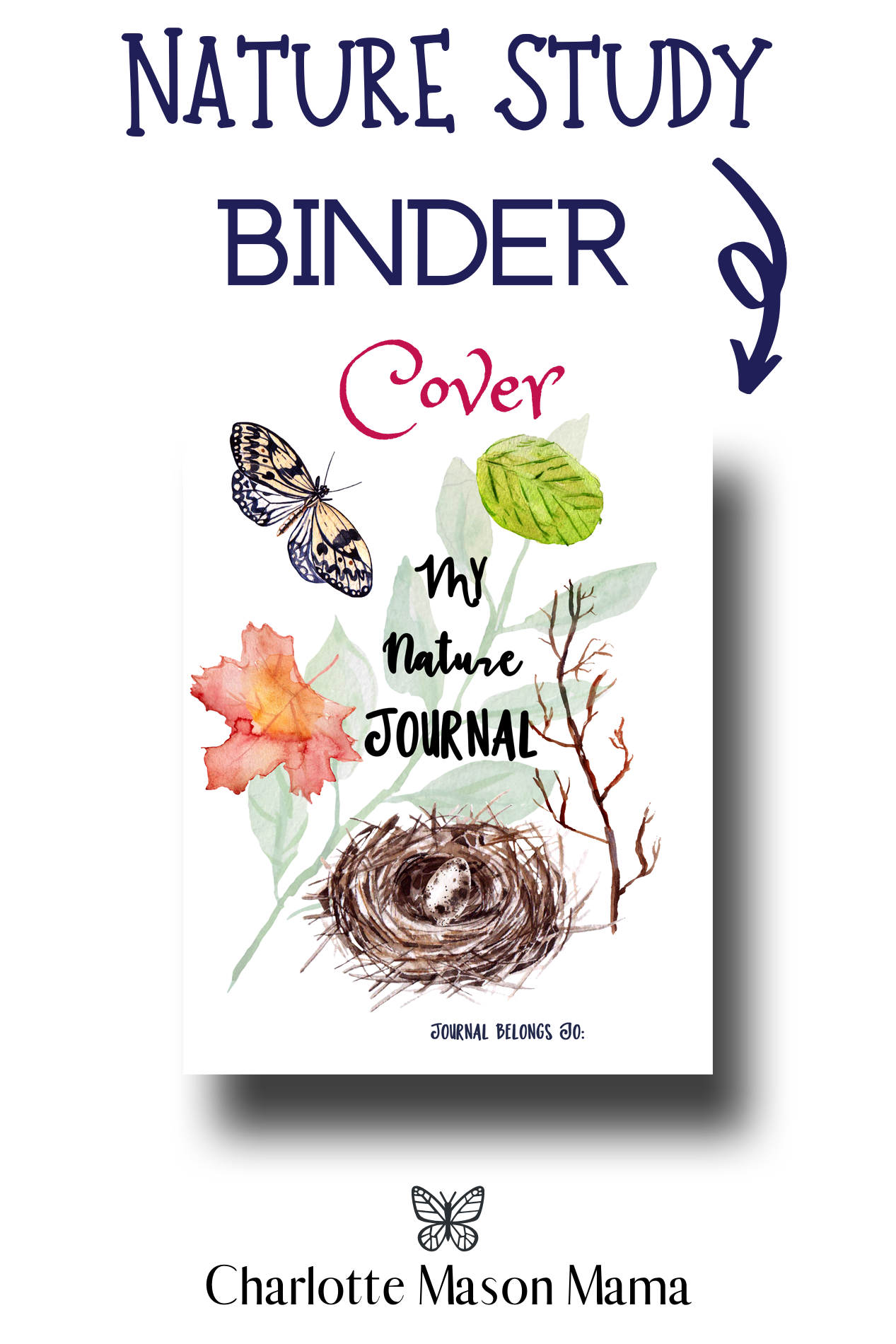 Summer Nature Study Ideas-With FREE July Calendar