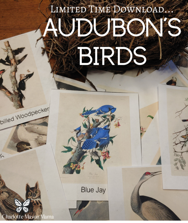 February Nature Calendar