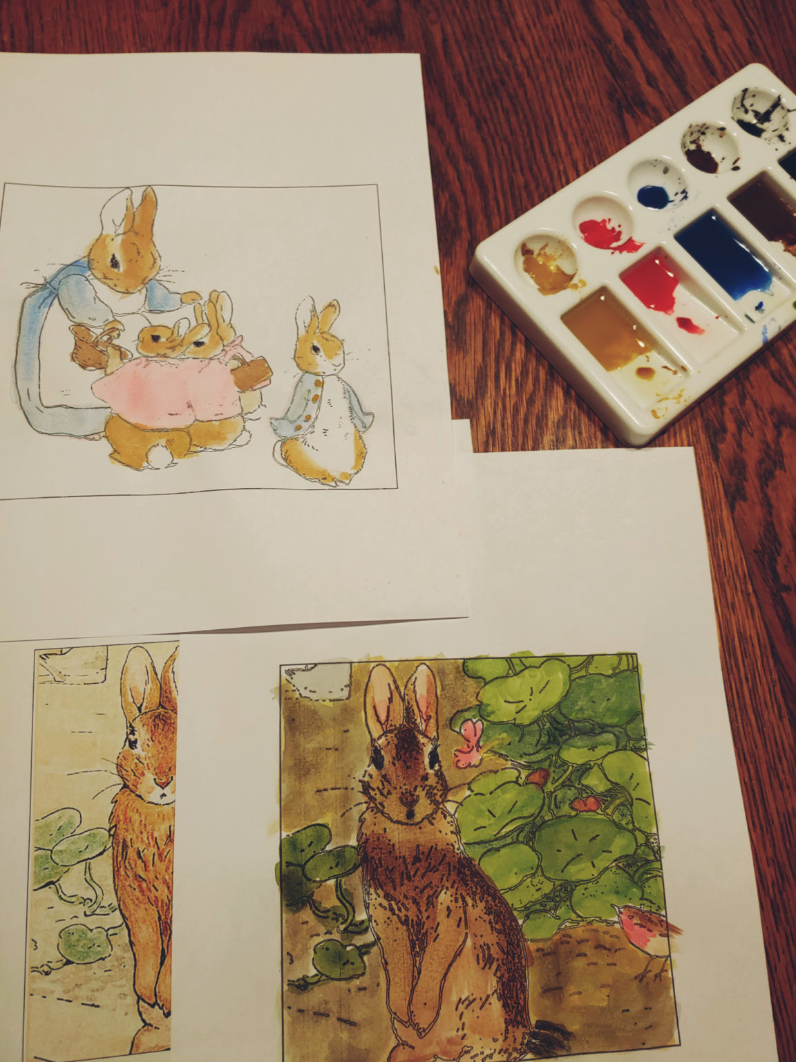 Beatrix Potter Watercolor Set ( FREE )