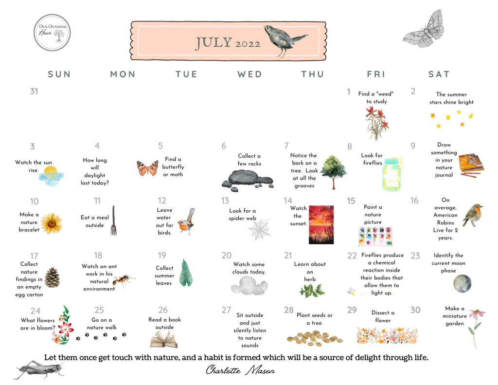 Summer Nature Study Ideas-With FREE July Calendar