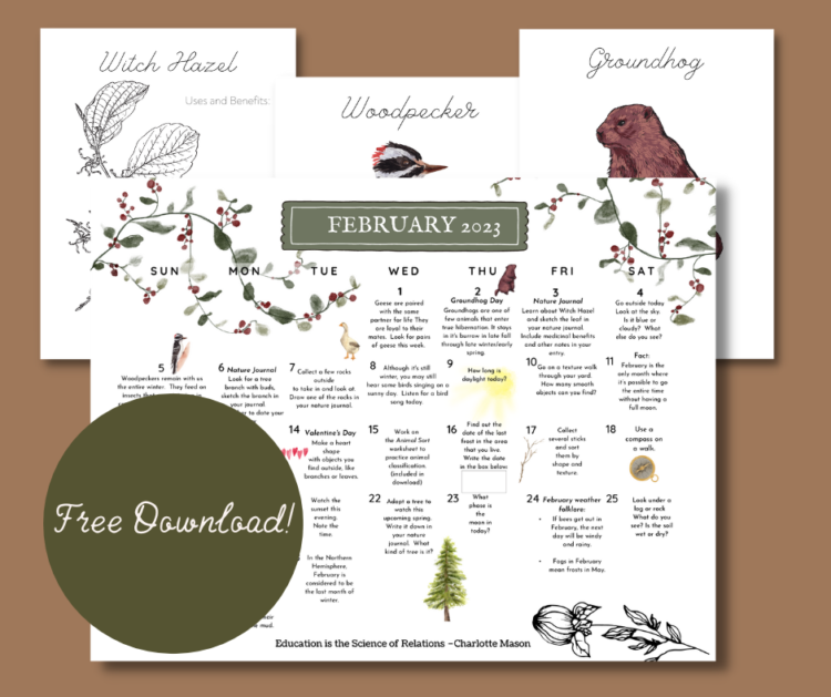 February Nature Calendar