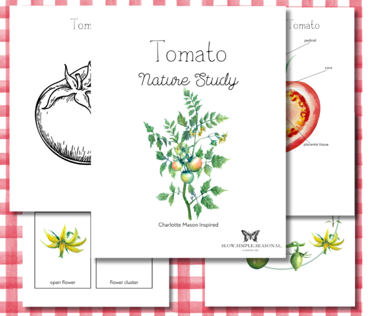 Five Really Fun Summer Printables