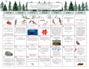 December 2023 Nature Calendar