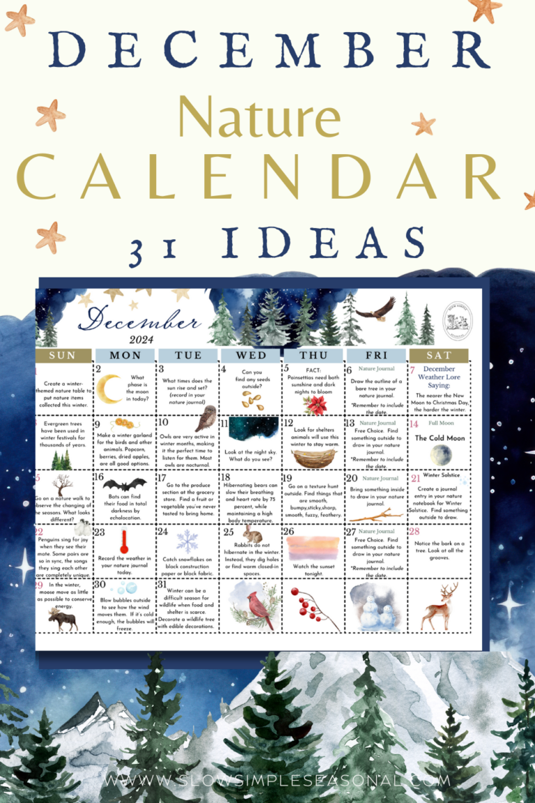 Blog | Homeschool | Slow Living