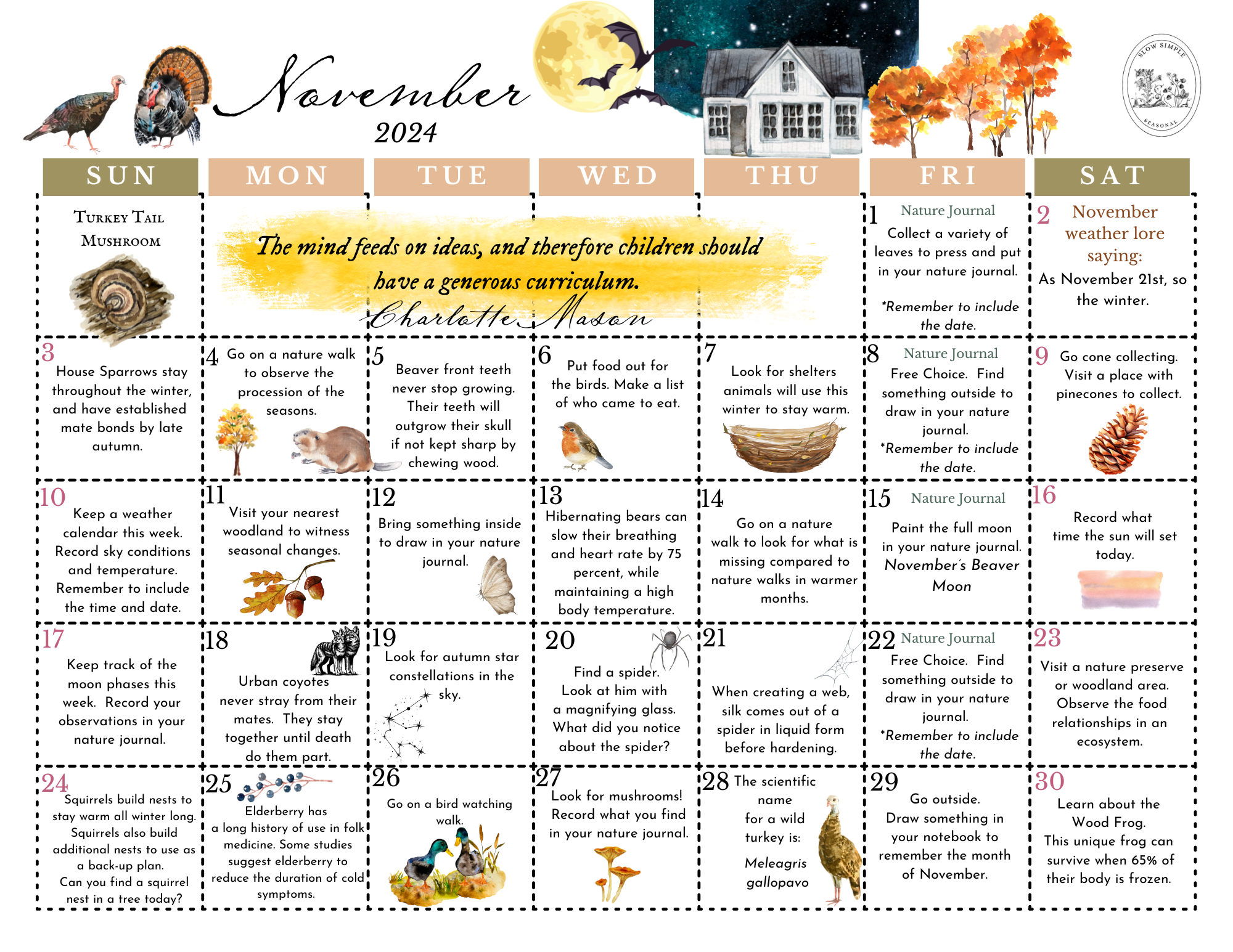 November 2024 Nature Calendar